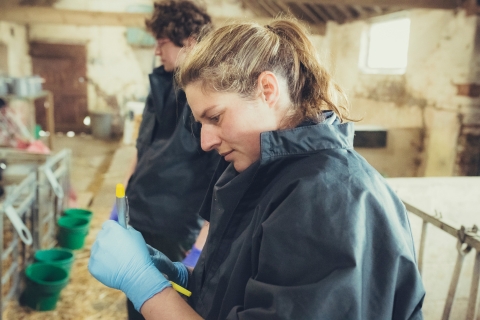 The prescribing cascade and new rules governing the distribution of ...