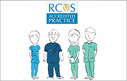 Fun new video promotes RCVS-accredited practice scheme to animal owners ...