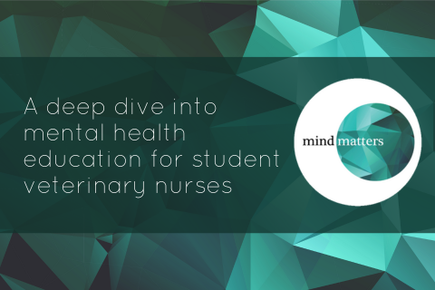 Mind Matters: A deep dive into mental health education for student ...