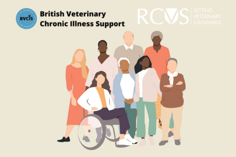 RCVS and BVCIS join forces for UK Disability History Month - Professionals