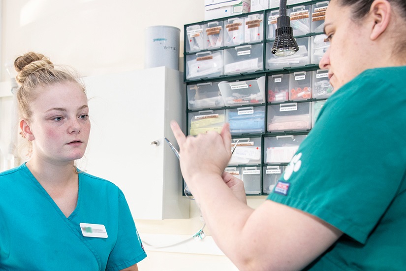 RCVS publishes updated set of standards for how VNs are educated and ...