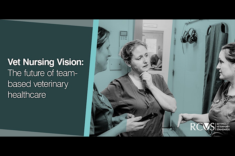 VN Futures to hold series of ‘Vet Nursing Vision’ events across the UK ...