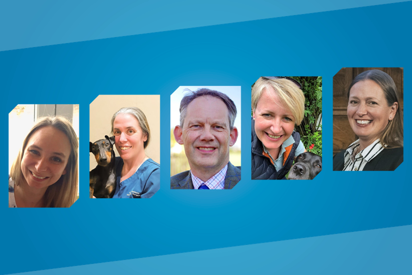 RCVS announces 2024 RCVS Council and VN Council election results ...