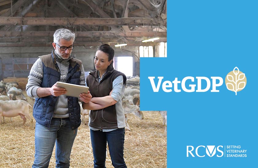 New Veterinary Graduate Development Programme launched - Professionals