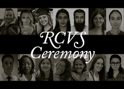 RCVS welcomes new overseas-trained members and associates in virtual ...