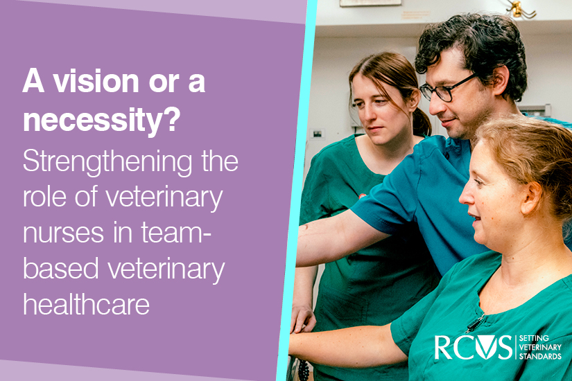 A vision or a necessity? Strengthening the role of veterinary nurses in ...