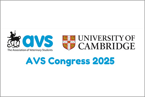 AVS Congress 2025 - Professionals