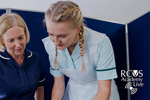 RCVS Academy Live: Roles and responsibilities of a Clinical Supervisor ...