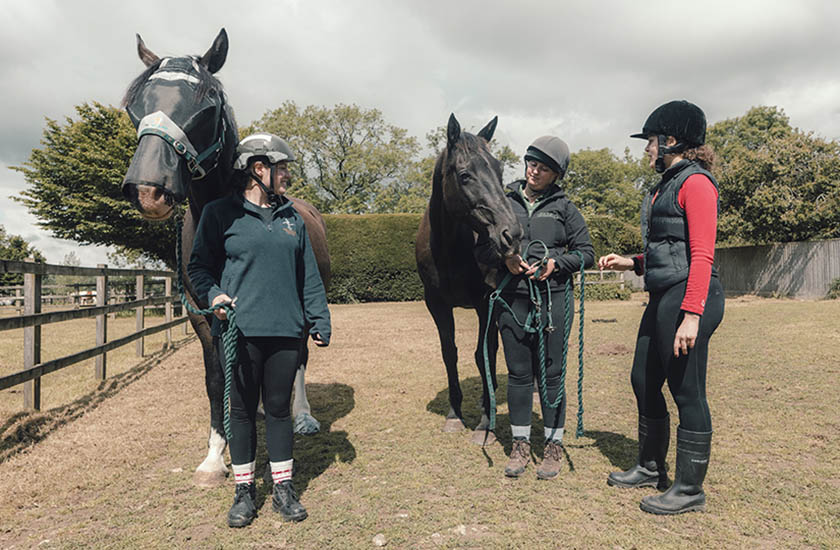 Pioneering RCVS EMS booking database now open for student registrations - Professionals