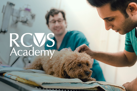 Academy Live: RCVS 1CPD - Record and Reflect - Professionals