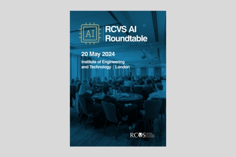 AI Roundtable report published - Professionals