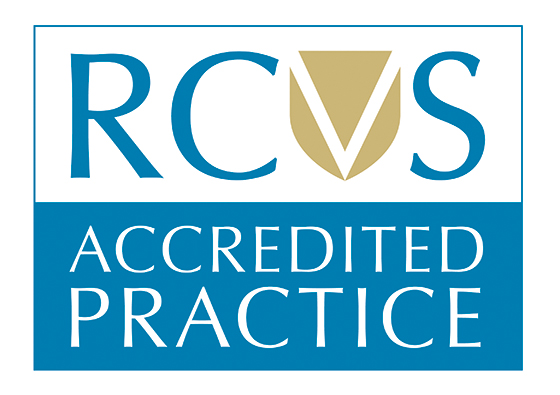Practice Standards Scheme activities at BSAVA Congress 2018 - Professionals