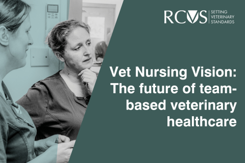 Vet Nursing Vision: The future of team-based veterinary healthcare ...