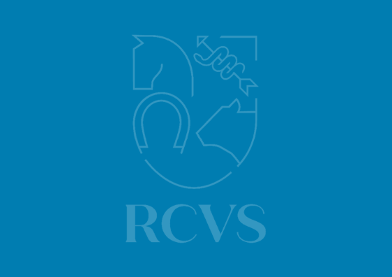 Who we are - Professionals