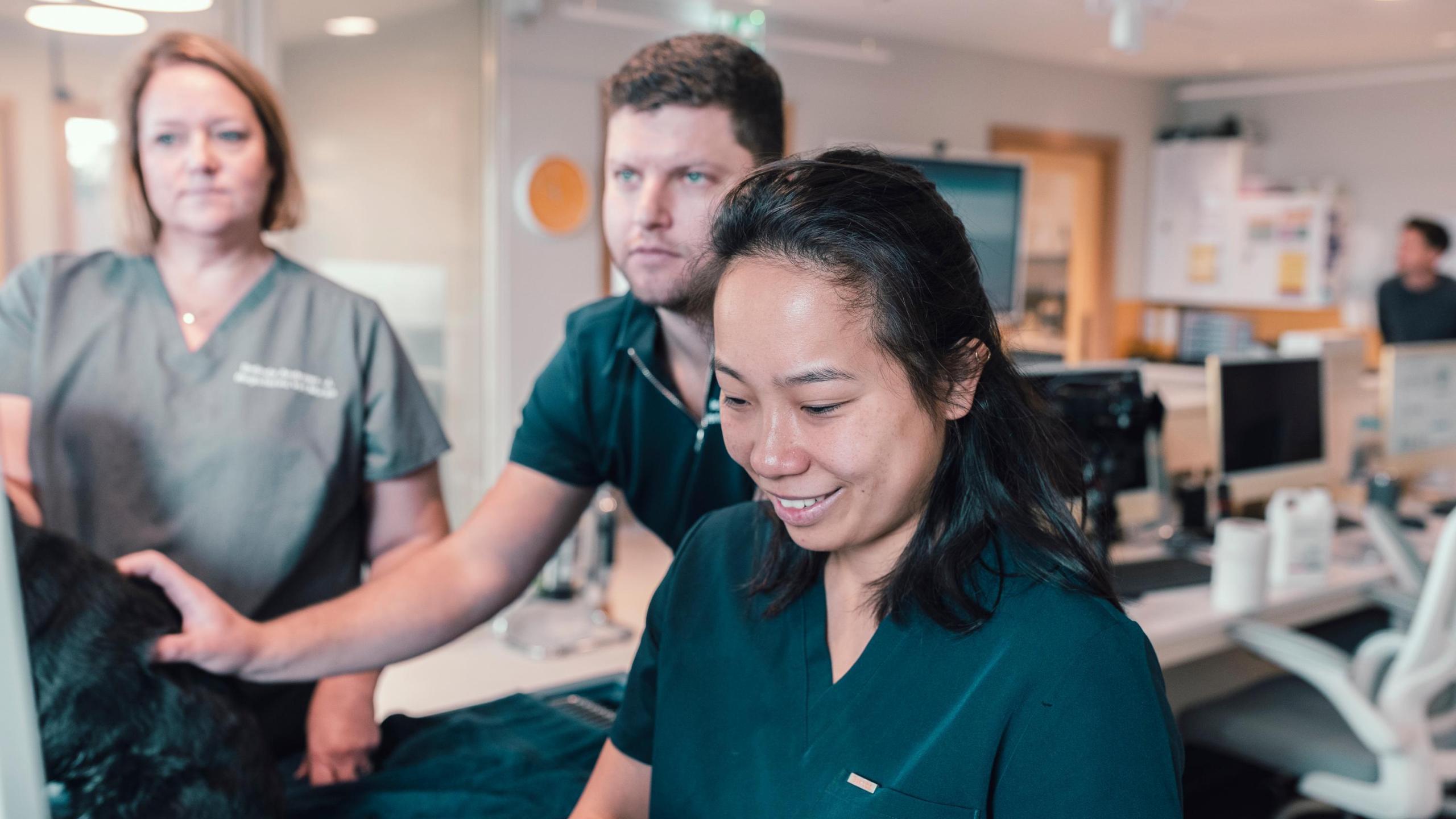 Veterinary professionals | Royal College of Veterinary Surgeons