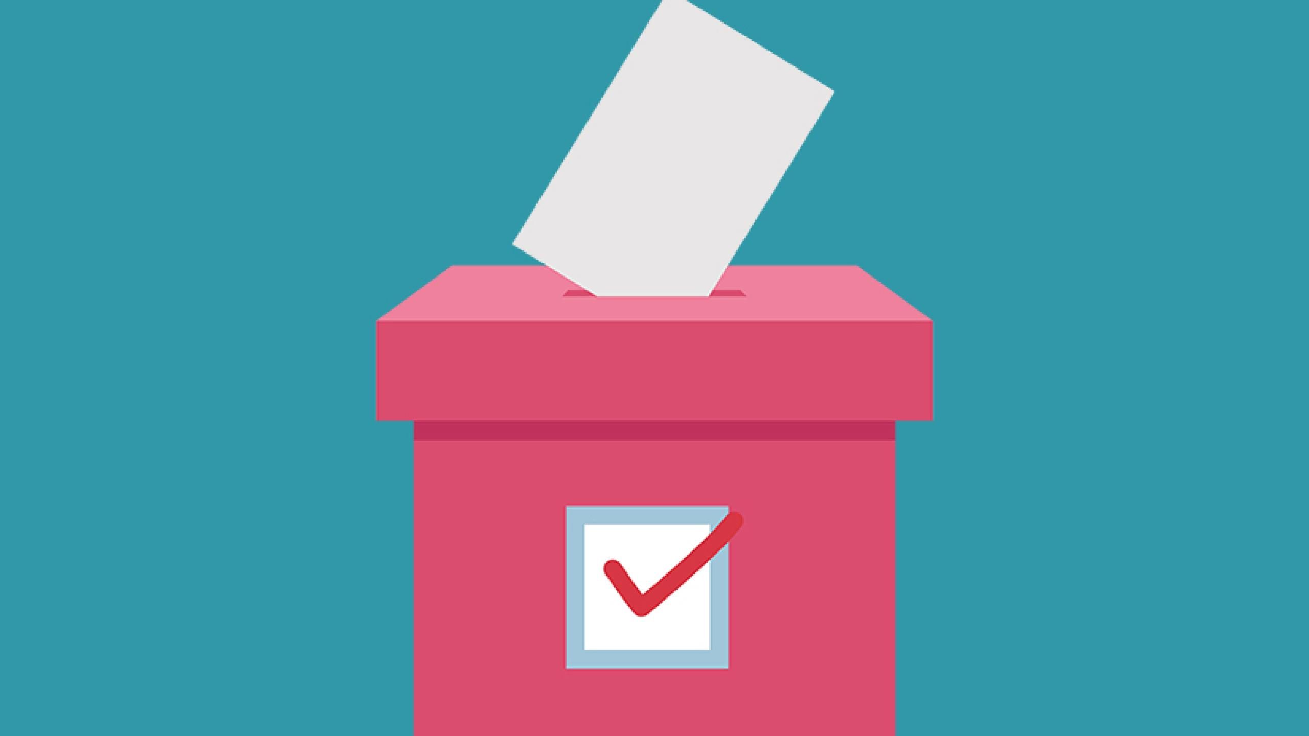 2026 RCVS Council election now open for voting | Royal College of ...