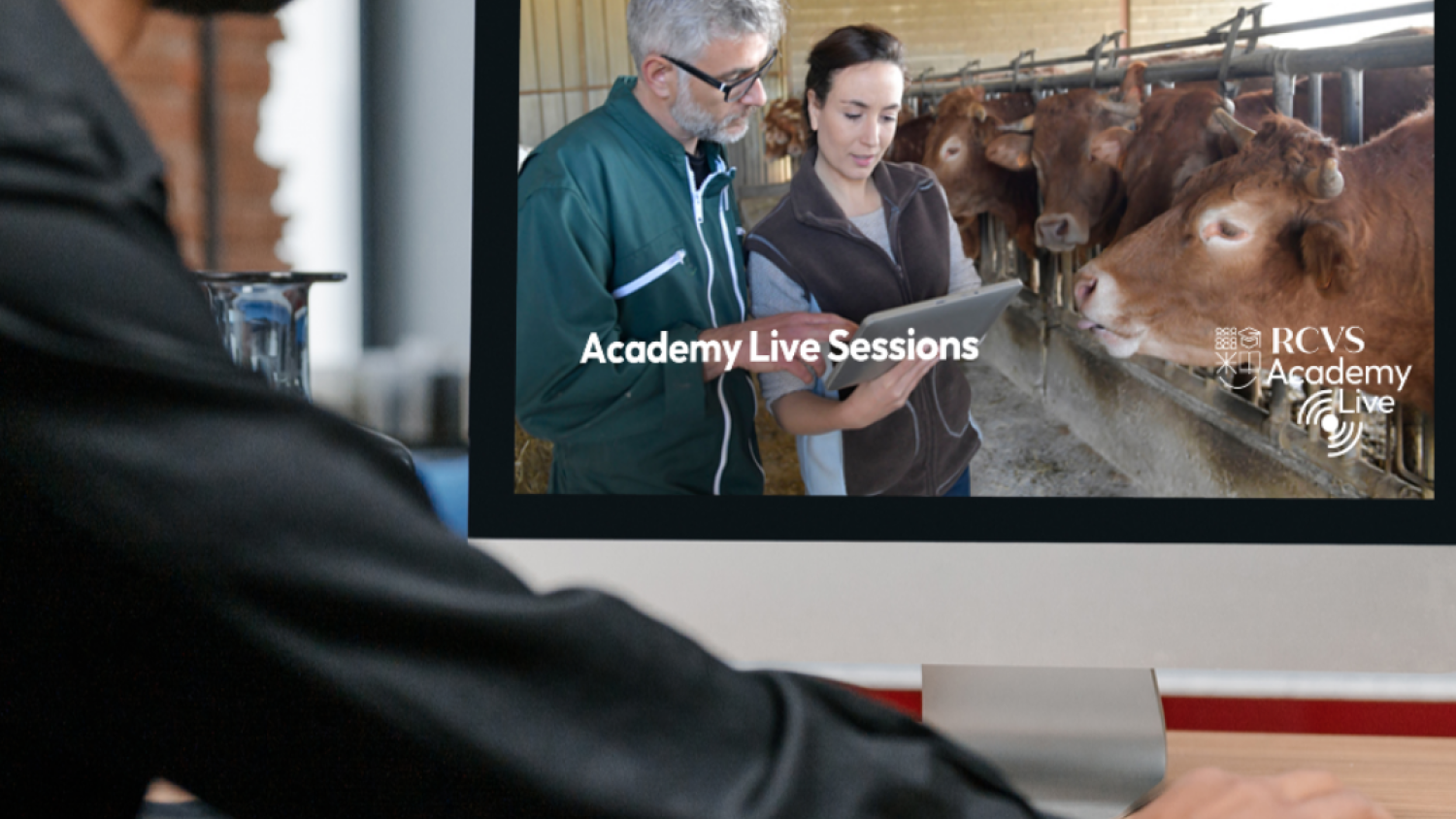 RCVS Academy publishes new course to enhance training for student vet ...