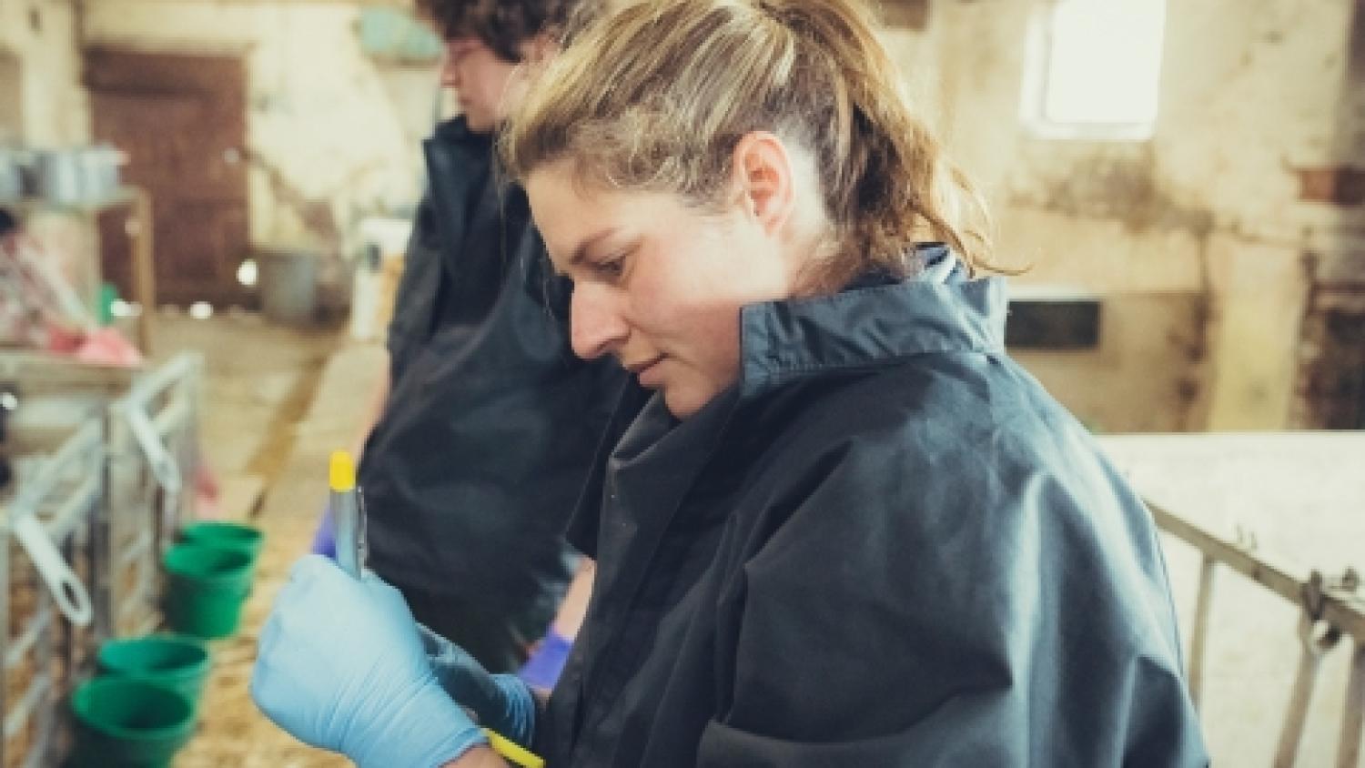 Code of Professional Conduct for Veterinary Surgeons | Royal College of ...