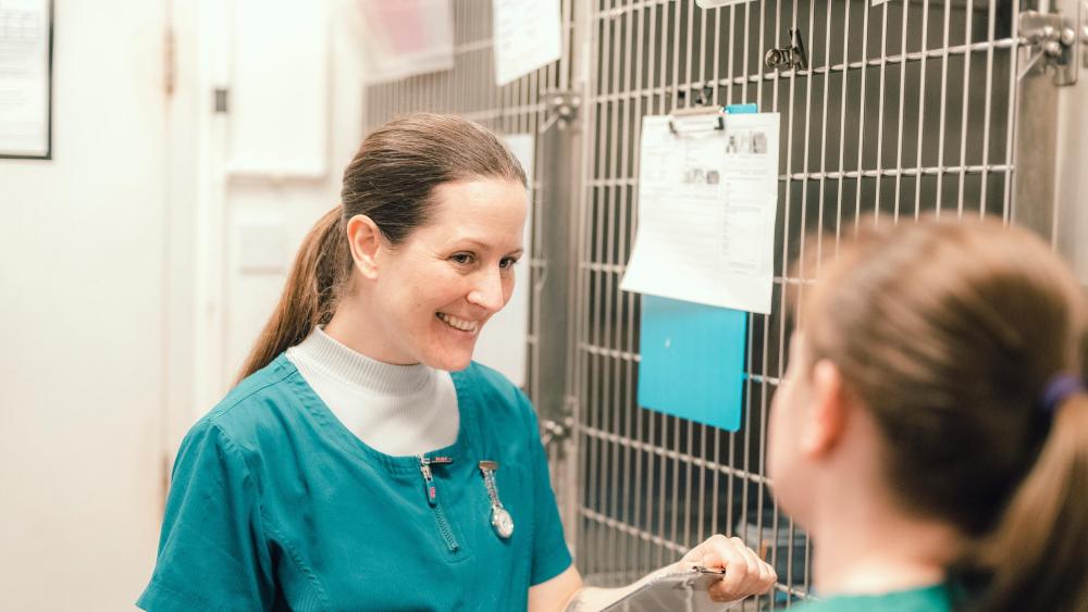 Registration | Royal College of Veterinary Surgeons
