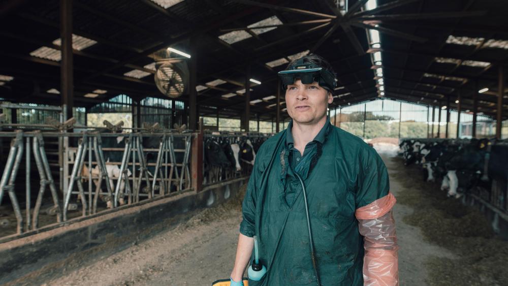 Getting veterinary work experience | Royal College of Veterinary Surgeons