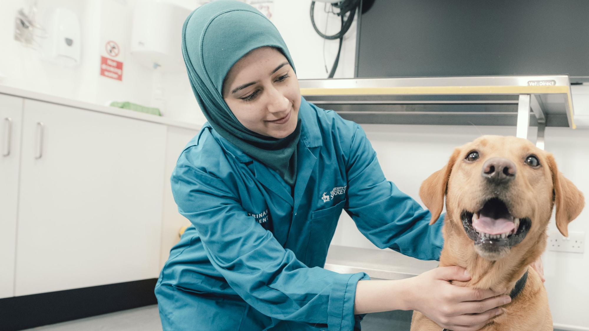 Choosing a veterinary practice | Royal College of Veterinary Surgeons