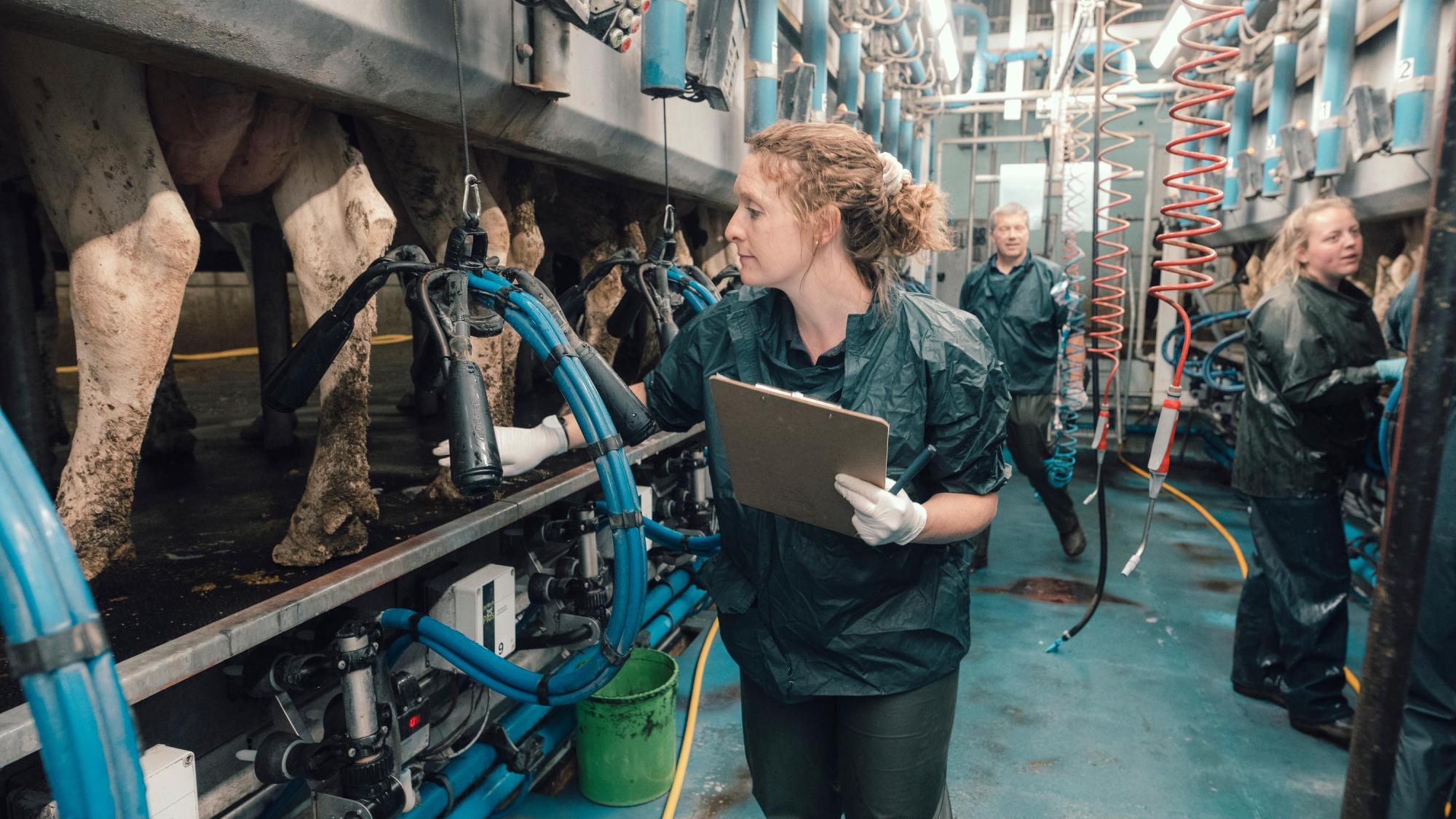 Conduct and guidance | Royal College of Veterinary Surgeons