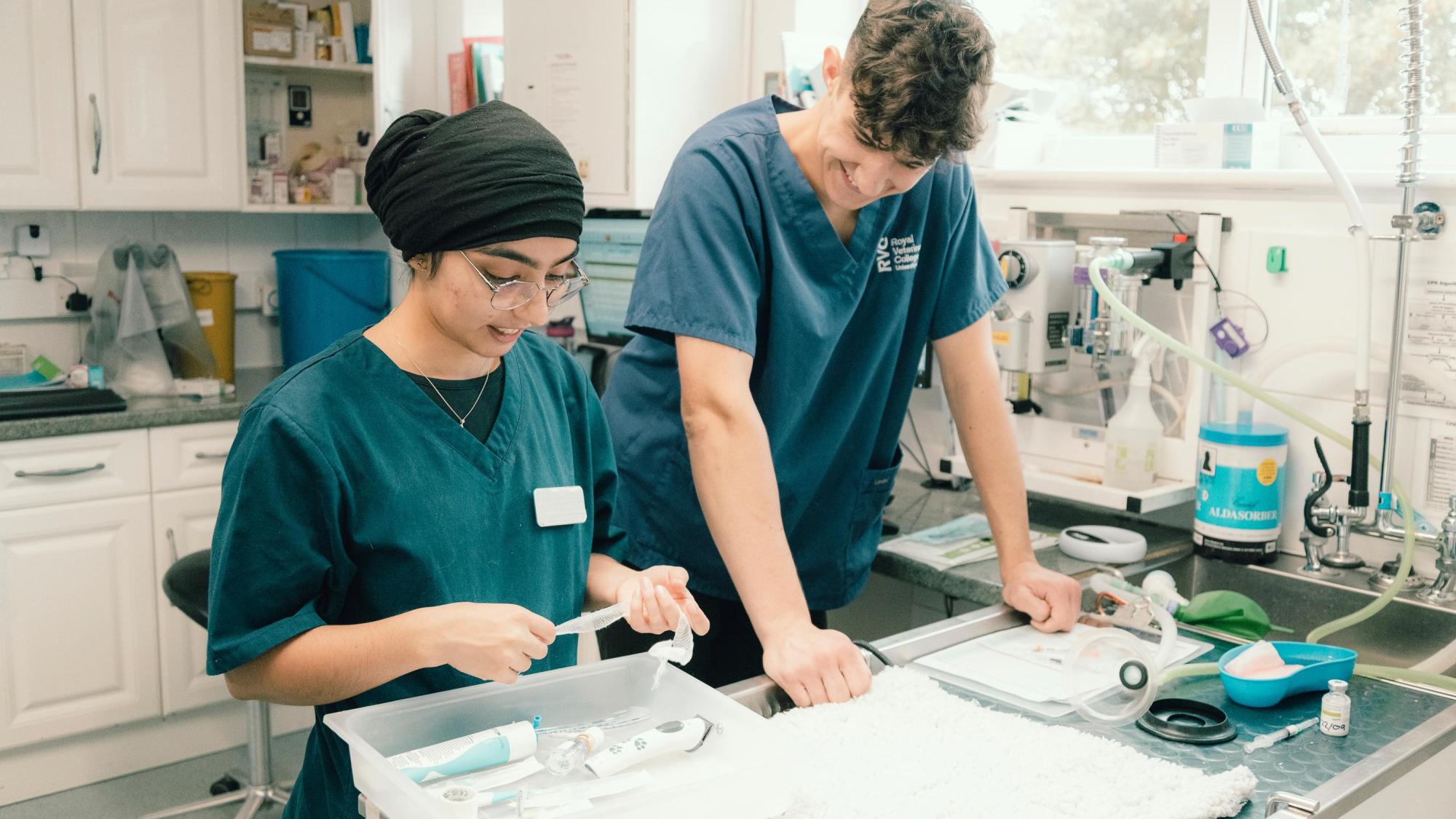 Getting veterinary work experience | Royal College of Veterinary Surgeons