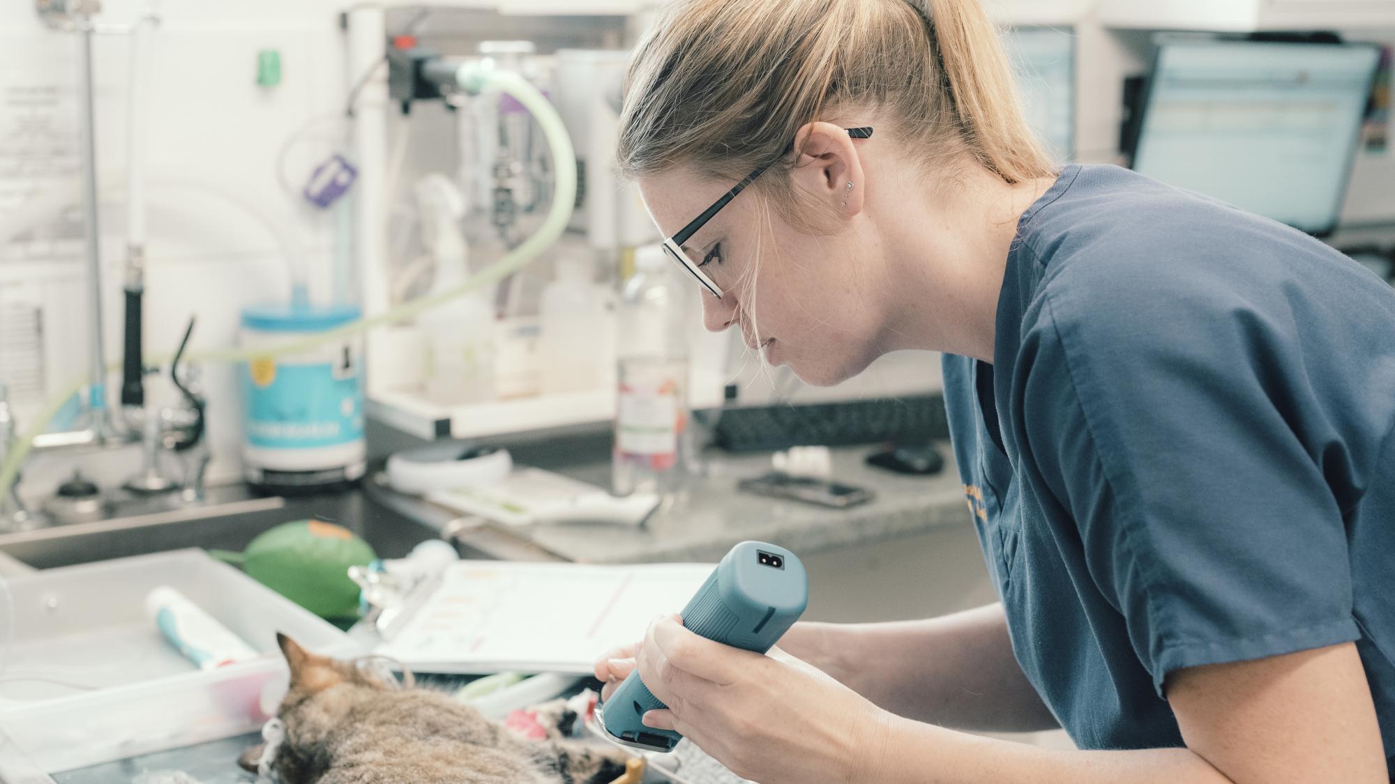 Registration | Royal College of Veterinary Surgeons