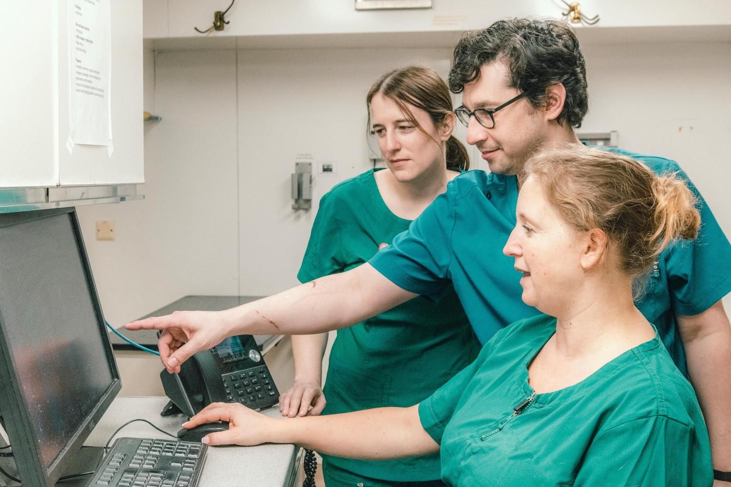 How do I become a vet nurse? | Royal College of Veterinary Surgeons