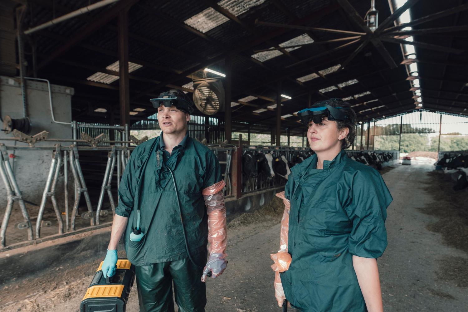Veterinary Graduate Development Programme (VetGDP): For vet students ...